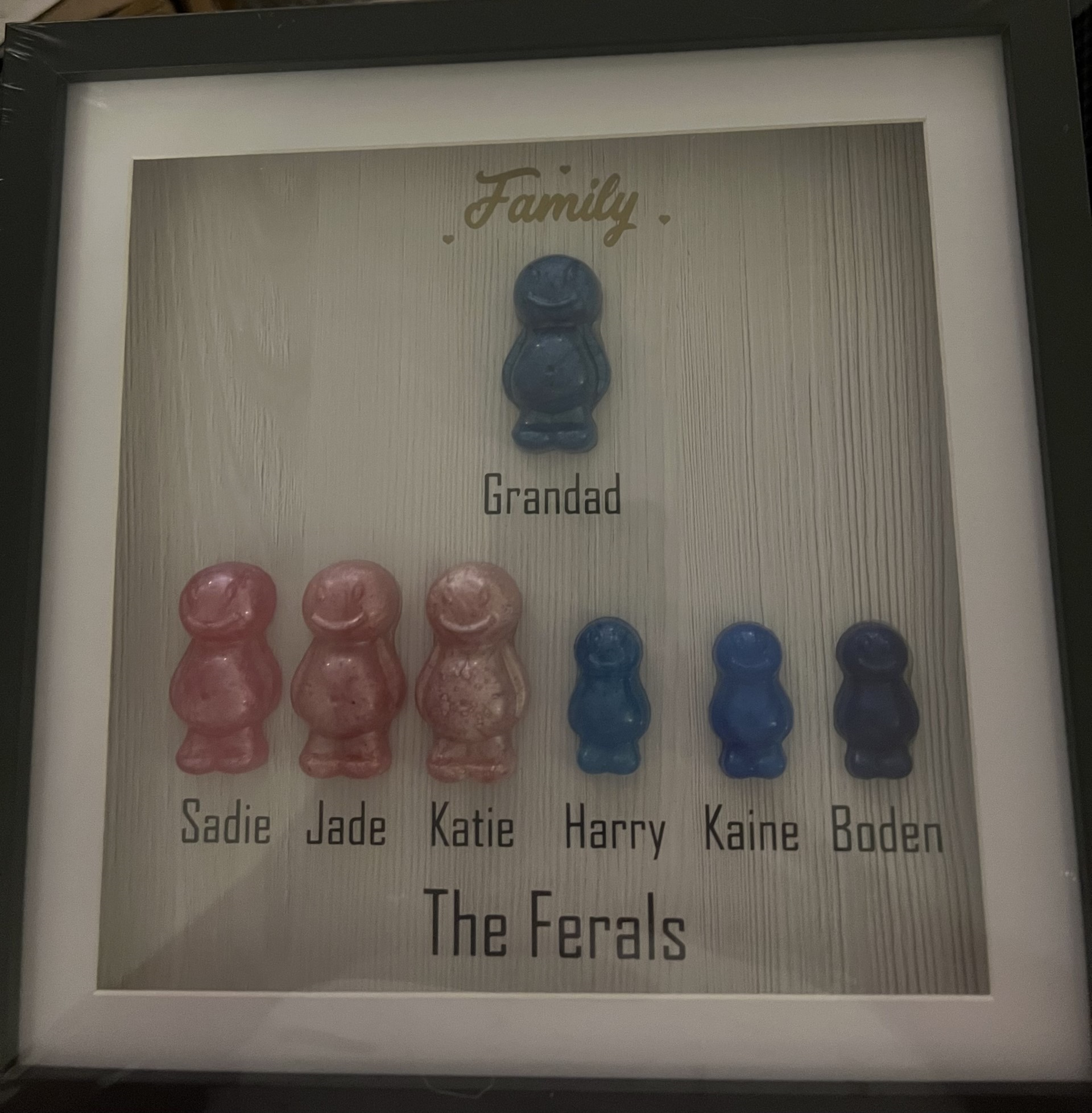 Jelly Person Family Frames – Camelot Creations